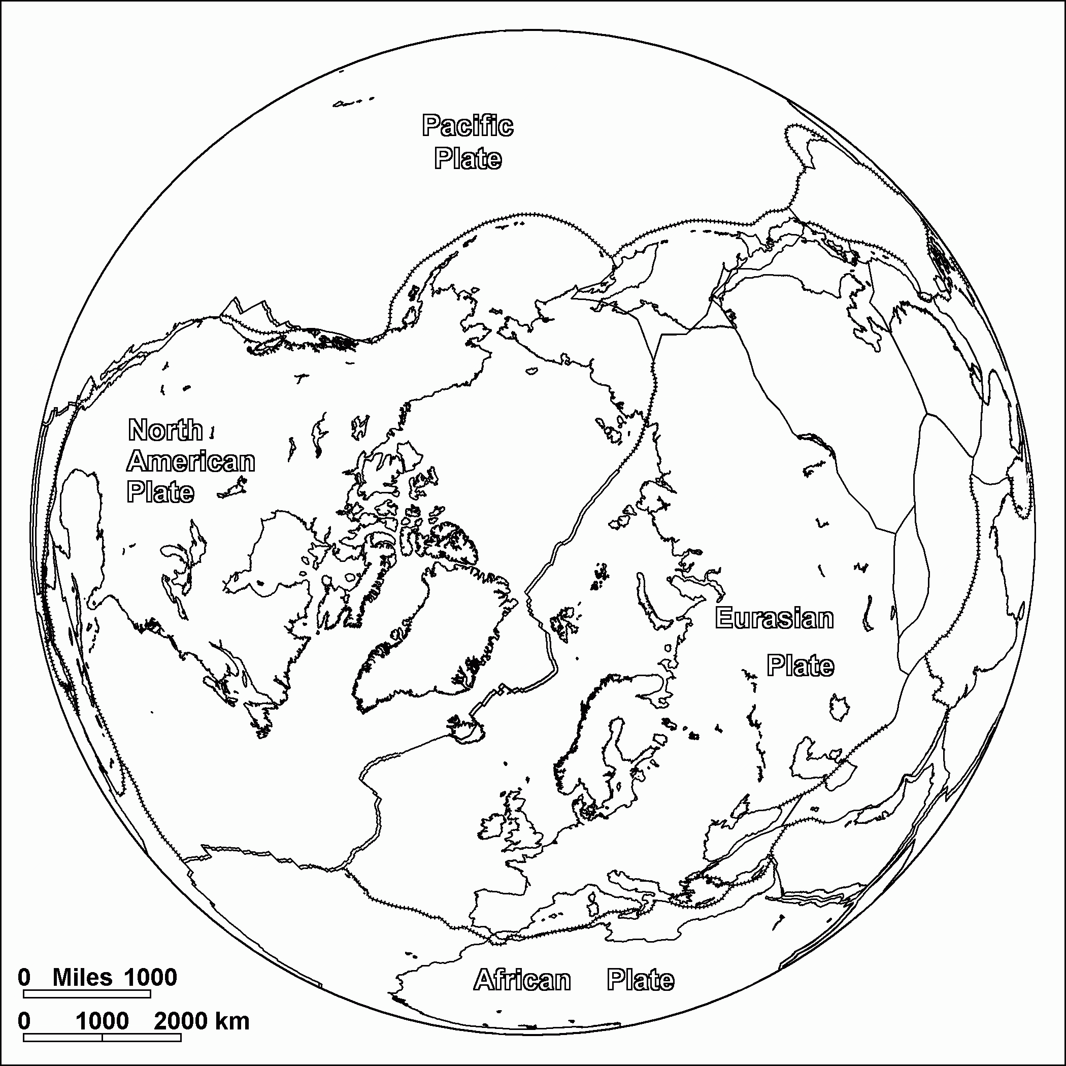 Biome Map Coloring Worksheet - Download Free Printable Templates