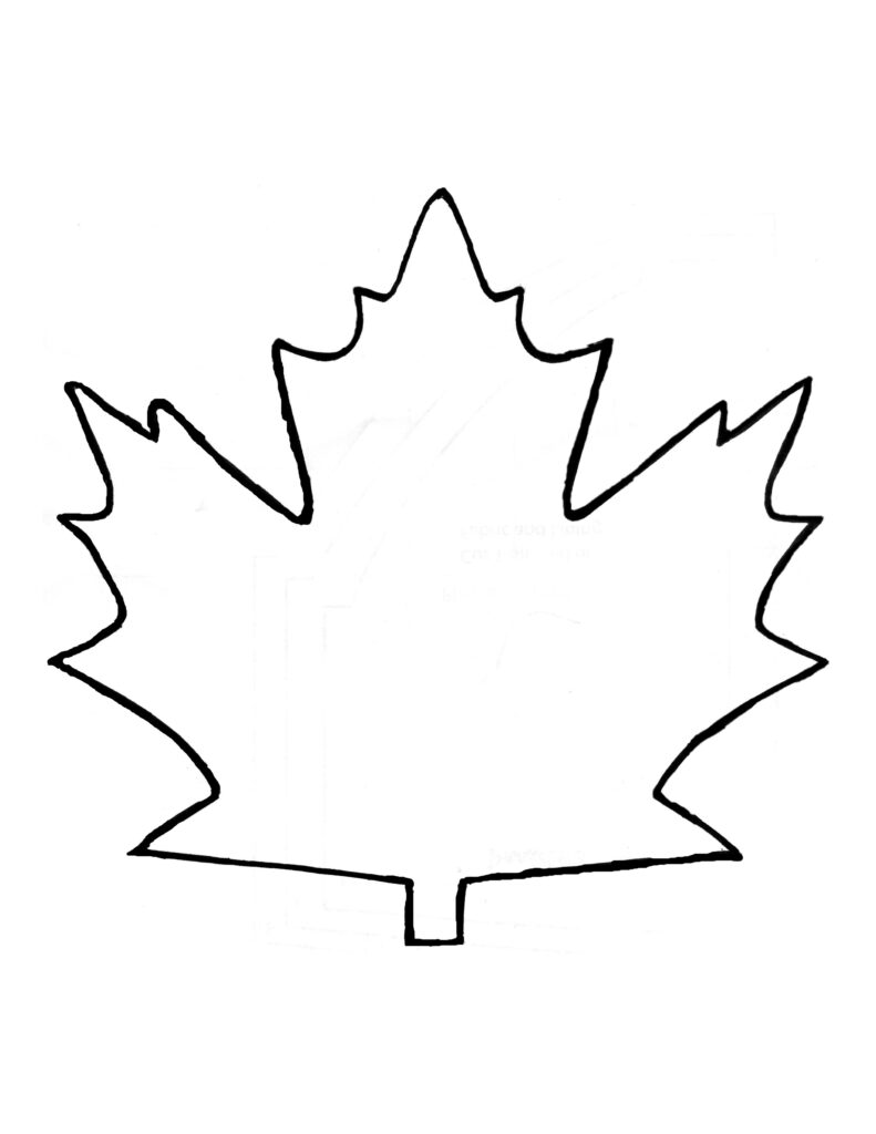 Maple Leaf Template Free Printable - Download Free Printable Templates
