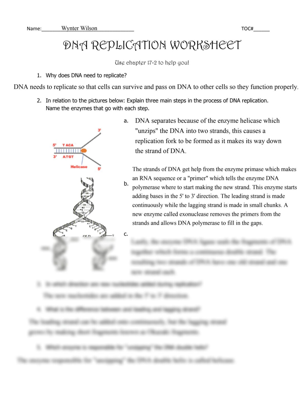 Dna Replication Worksheet - Download Free Printable Templates
