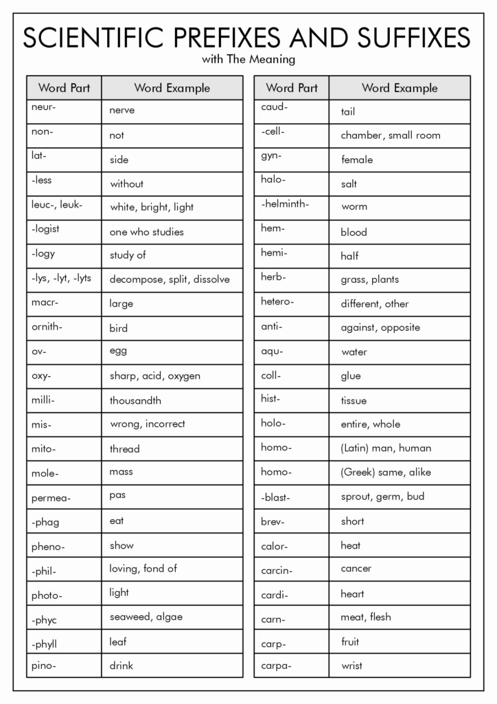 Prefix And Suffix Worksheets - Download Free Printable Templates